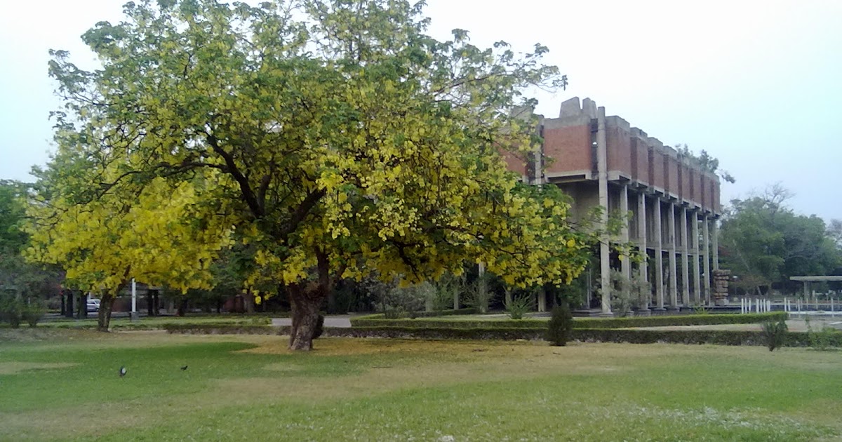 Inside the Campus: I wish to remember my IIT Kanpur as...