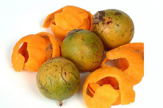 Magra e linda: Pupunha x Tucumã