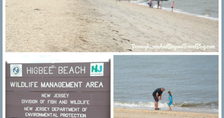Pennsylvania & Beyond Travel Blog: Spending the Day at Higbee Beach in ...