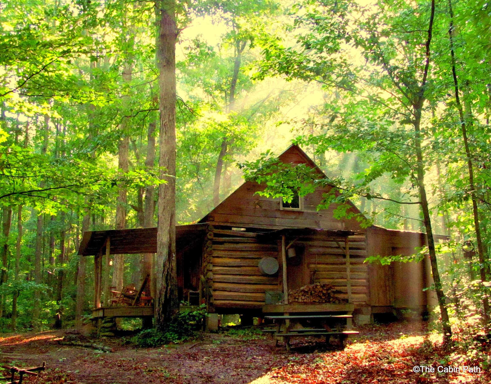 The Cabin Path (All Blogs and pictures ©The Cabin Path)