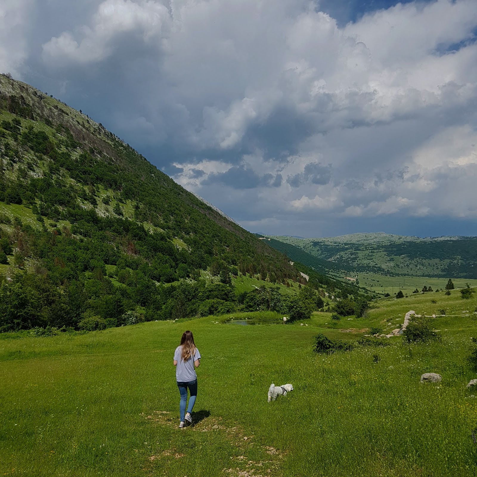 Summer on Mountain Rujiste in Mostar [Through My Lens Nr. 147] - Mersad ...