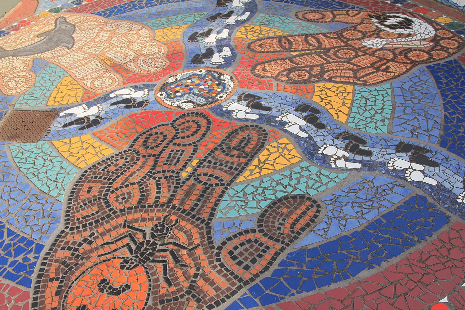 Rotorua Artist Janet Keen's Photography, Mosaics, Paintings & Writing ...
