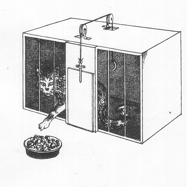 Alta-Mente!: Edward Thorndike