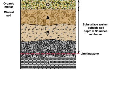 GEOGRAFI TANAH: 6. HORIZON TANAH