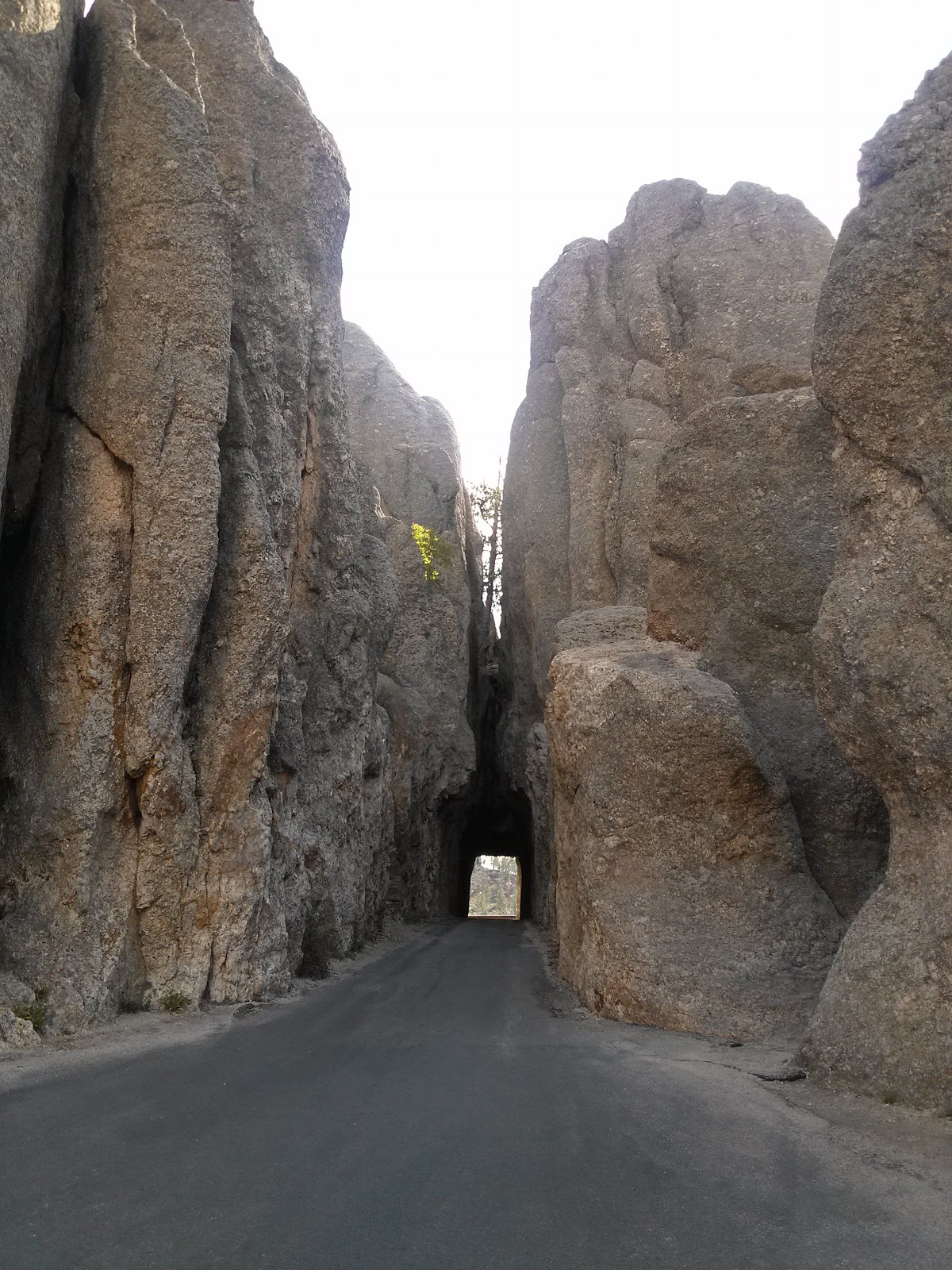 Dennis and Judy Travels: Needles Highway Scenic Drive, Custer State ...