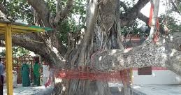 THE BITTER TRUTH: Akshayavat