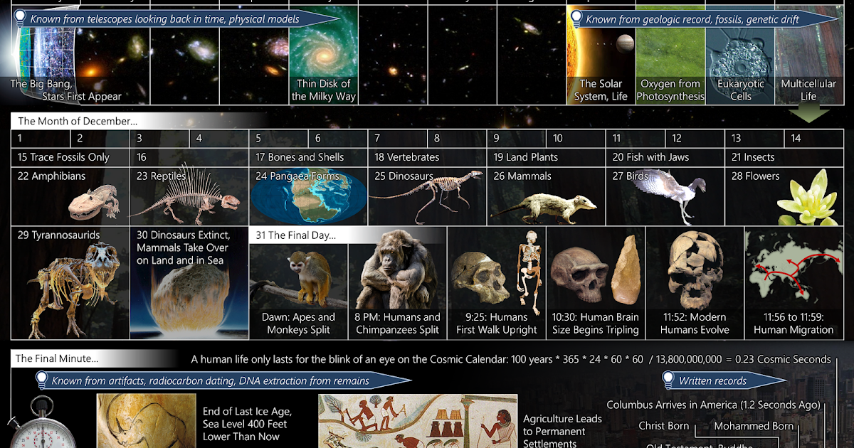 Reflexiones para la Autoayuda: CALENDARIO COSMICO DE CARL ...