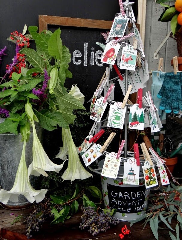 ...a quiet life...: garden advent dec 9th