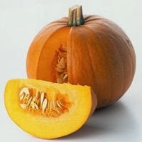 Caraka Purwo Wibisono: Mengenal manfaat dan khasiat buah labu kuning