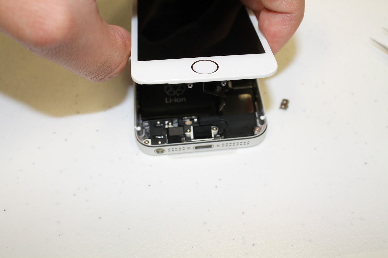 iPhone 5/5S/5C Teardown (UPDATED with CHIP Images) | iExperts | iPhone ...