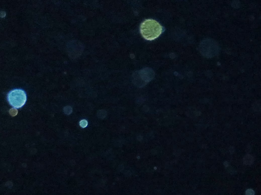 Laughing Lightly: Coloured Orbs Come Out And Play