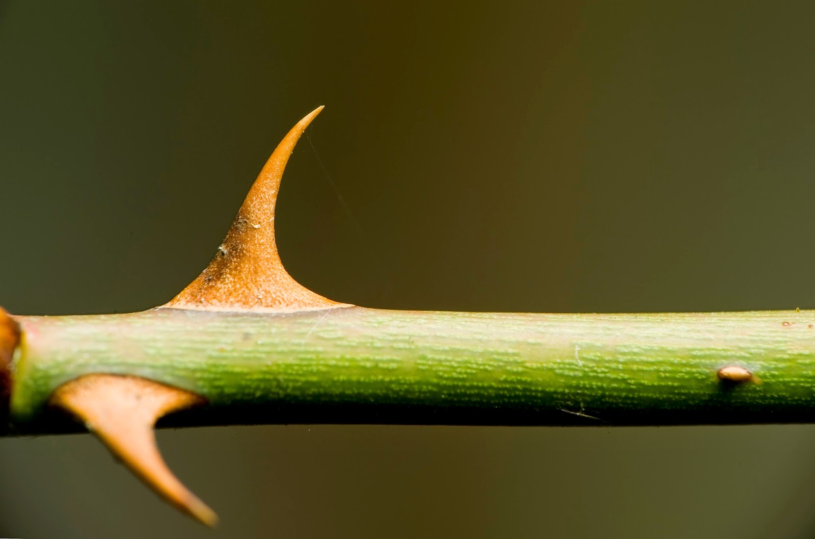 Betrayed Wives' Club: May 2014