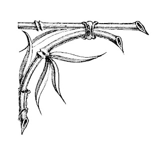 Digital Stamp Design: Free Bamboo Digital Stamp: Corner Border Design ...