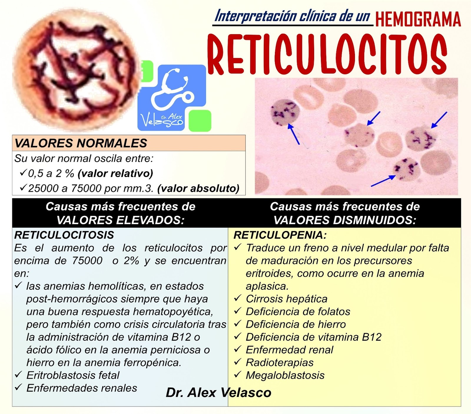 INTERPRETACIÓN CLÍNICA DE UN HEMOGRAMA ~ Dr. Alex Velasco