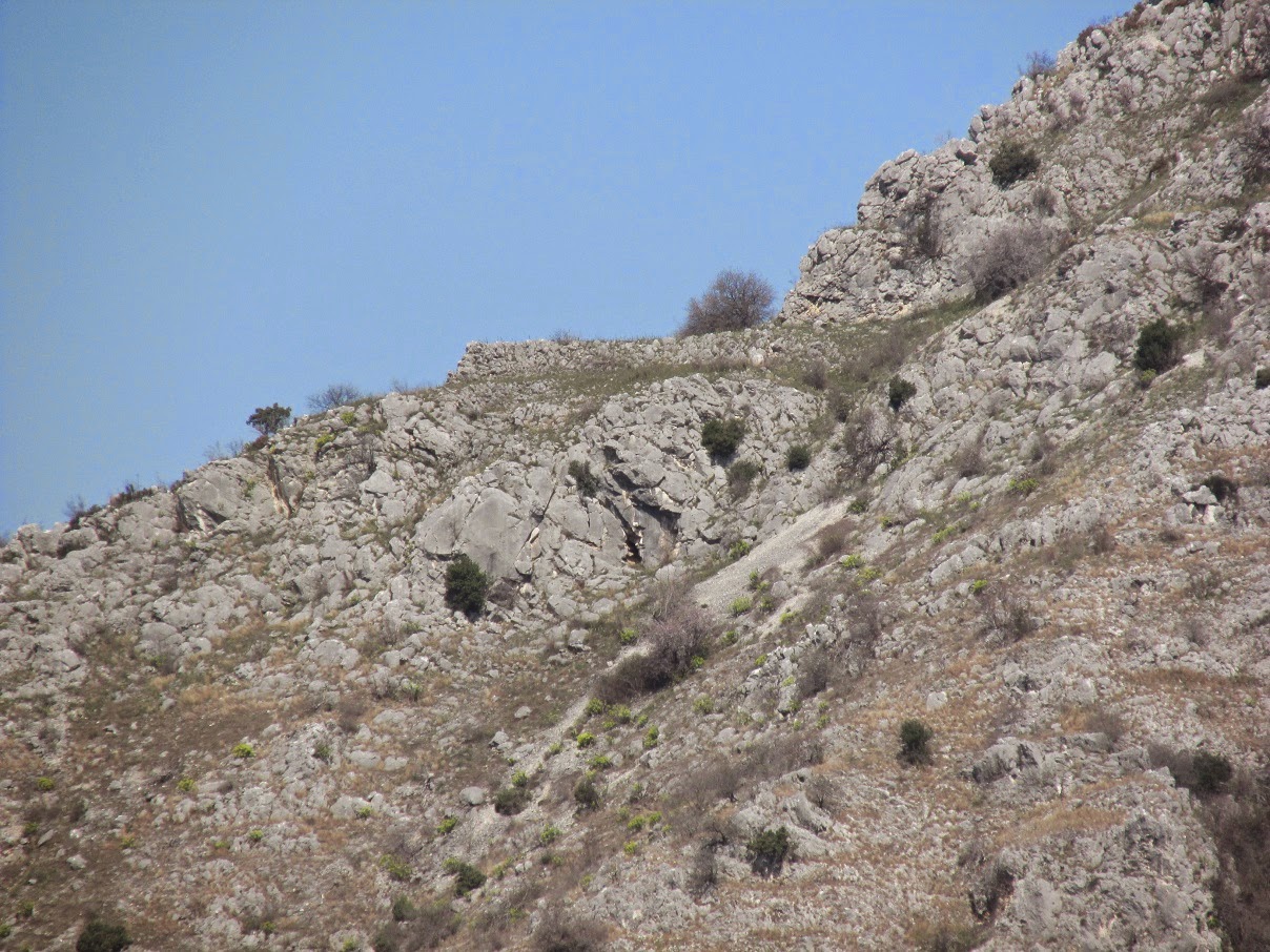 HERCEGOVINA-GEOARHEO: DAORSON - EKSKLUZIVNO - FOTO SPECIJAL OSTALIH ...