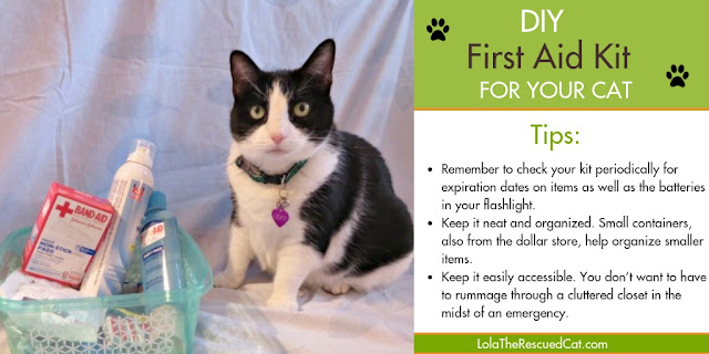 DIY First Aid Kit for Your Cat | Lola The Rescued Cat