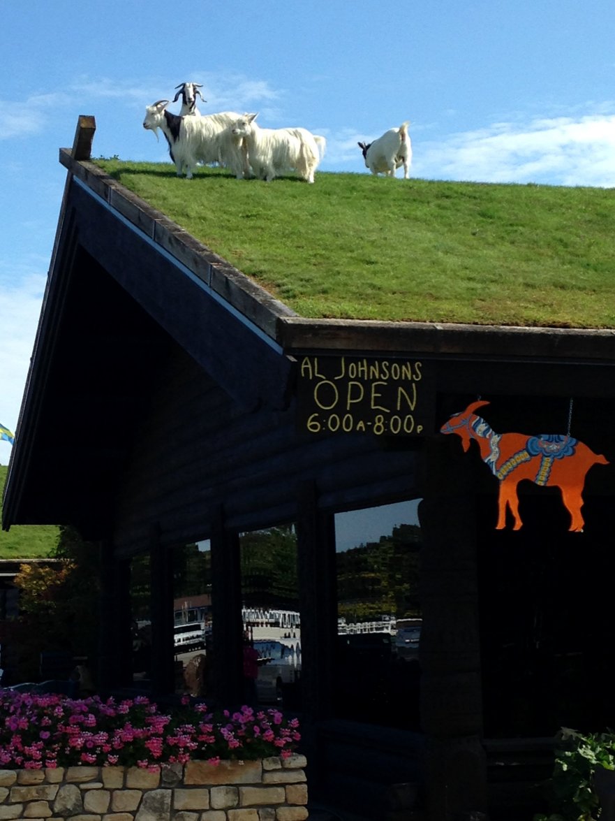 Anne E May Impressions: Al Johnson's Swedish Restaurant