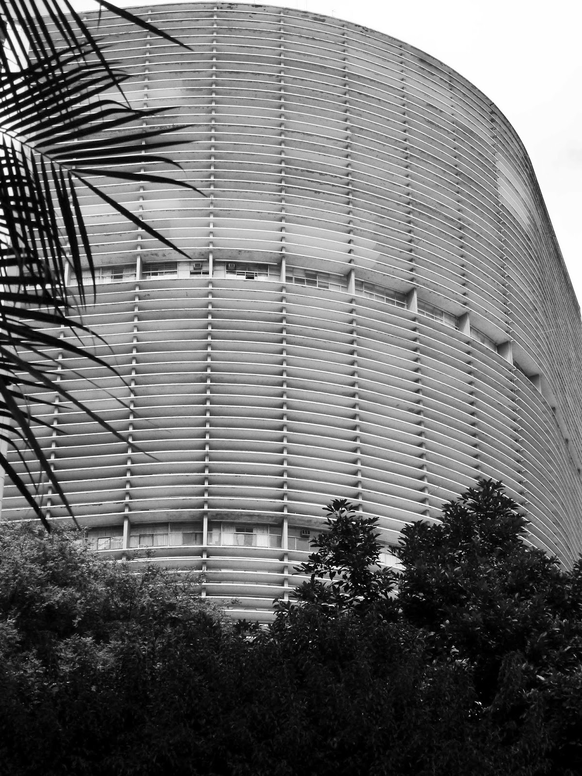 HABITAR: EDIFICIO COPAN_MIRADAS INTENSIVAS