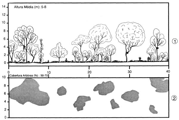 CERRADO, TE QUERO BEM...: CERRADO SENTIDO RESTRITO
