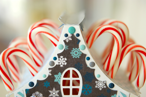 Court's Crafts: Candy Cane House
