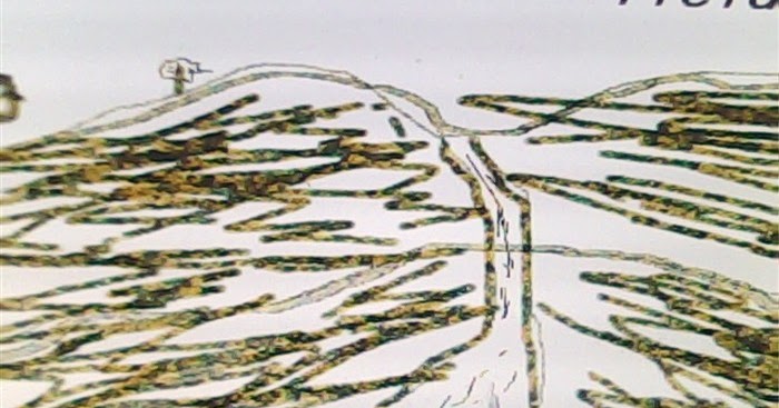 FANG Rui-da's Law and Fang Ruida's Theory of Natural Science ...