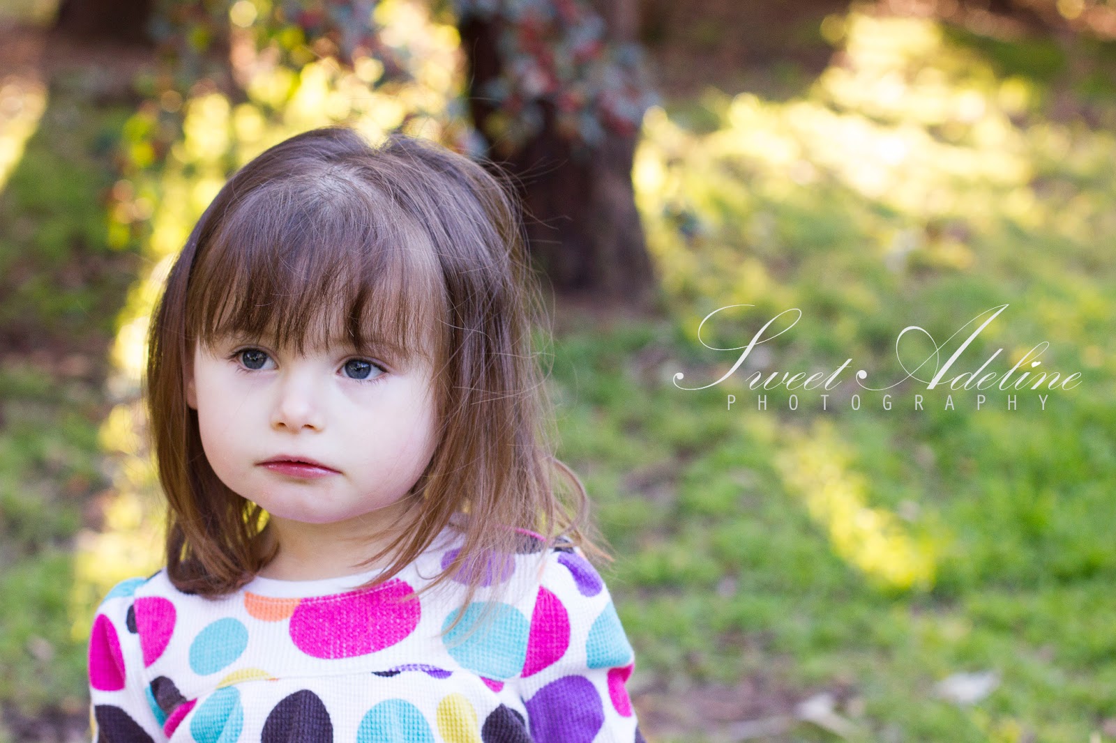 Sweet Adeline Photography