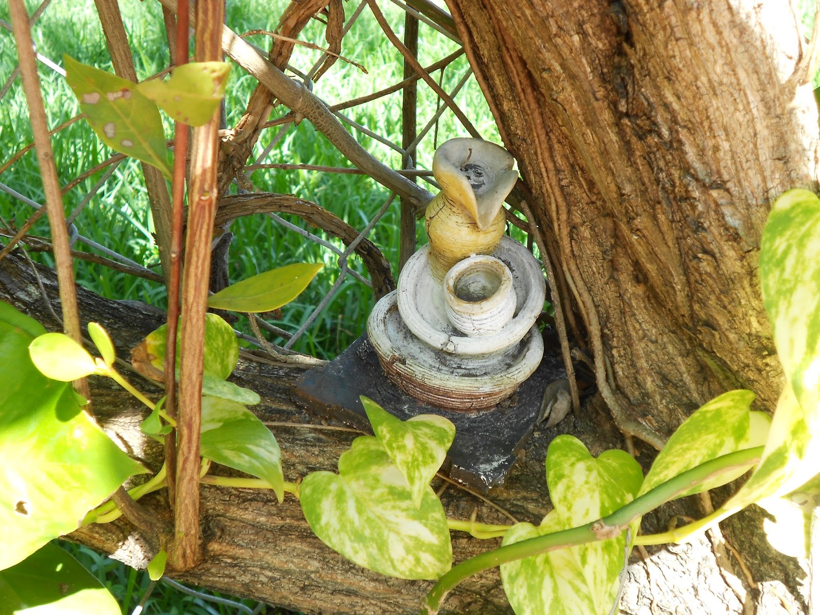 LRC Digital Newsletter: November 2016