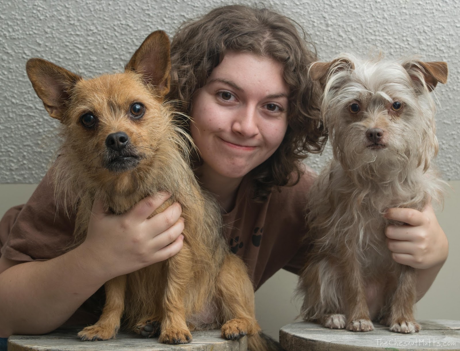 Review: Redbarn Bully Nuggets | The Chesnut Mutts