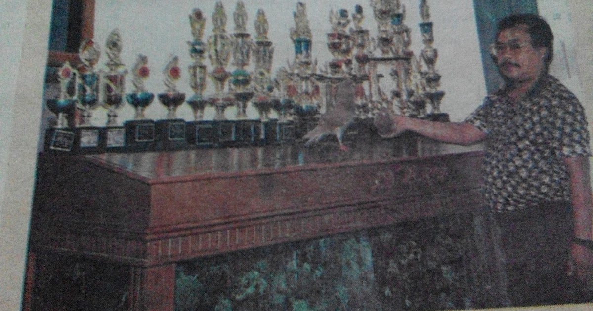 Merpati Balap Kelana 2 Legendaris | Merpati Balap