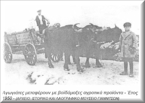 ΑΔΕΝΔΡΟ - ΜΟΡΦΩΤΙΚΟΣ ΠΟΛΙΤΙΣΤΙΚΟΣ ΣΥΛΛΟΓΟΣ "Η ΠΡΟΟΔΟΣ" Macedonia Greece ...