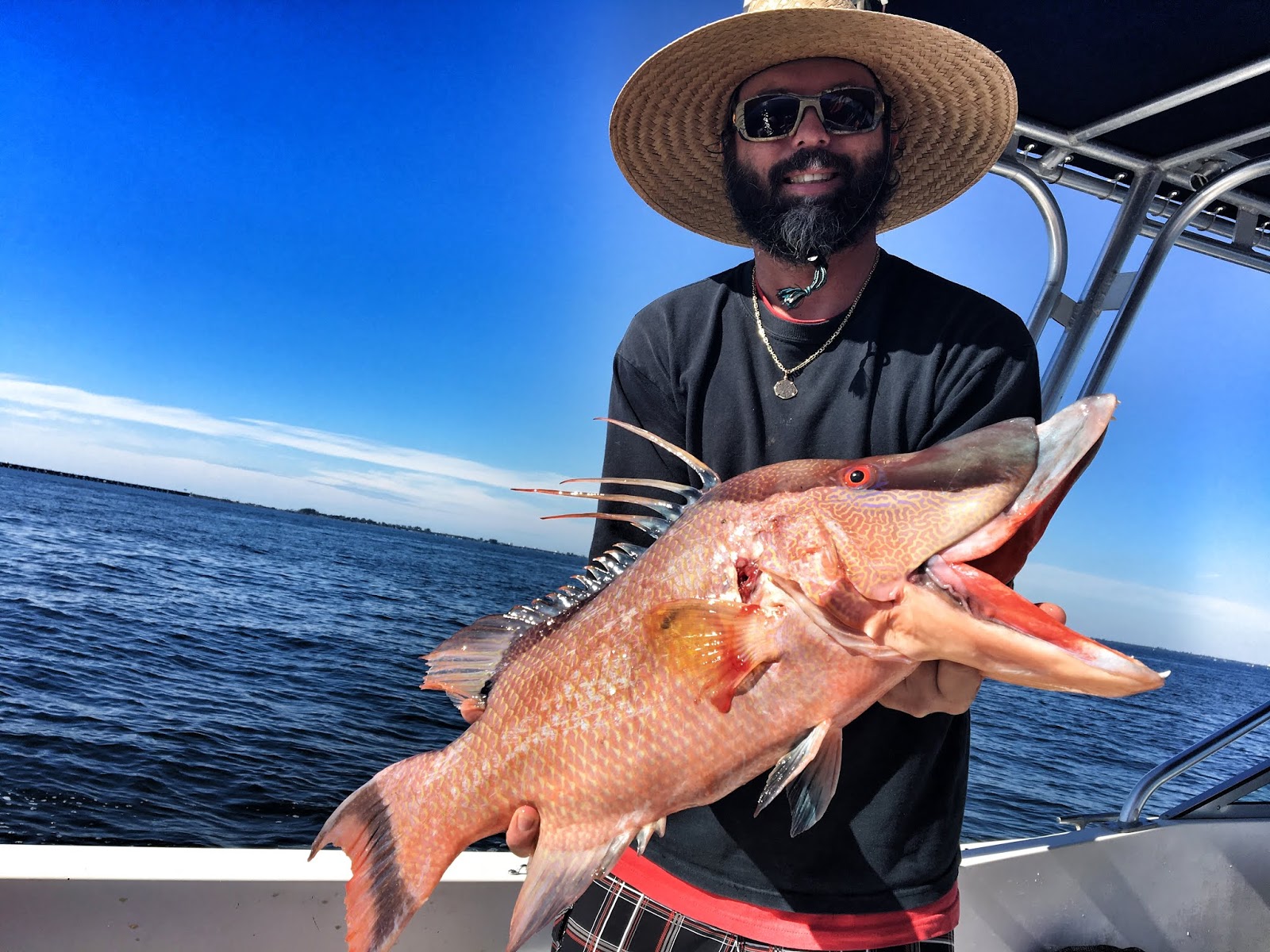 Gulf Currents: August 2018