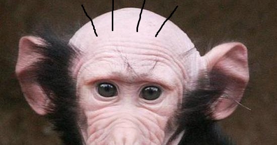 Visita al salón de belleza...acaba bien o mal? | La Chica De La Tinta Rosa