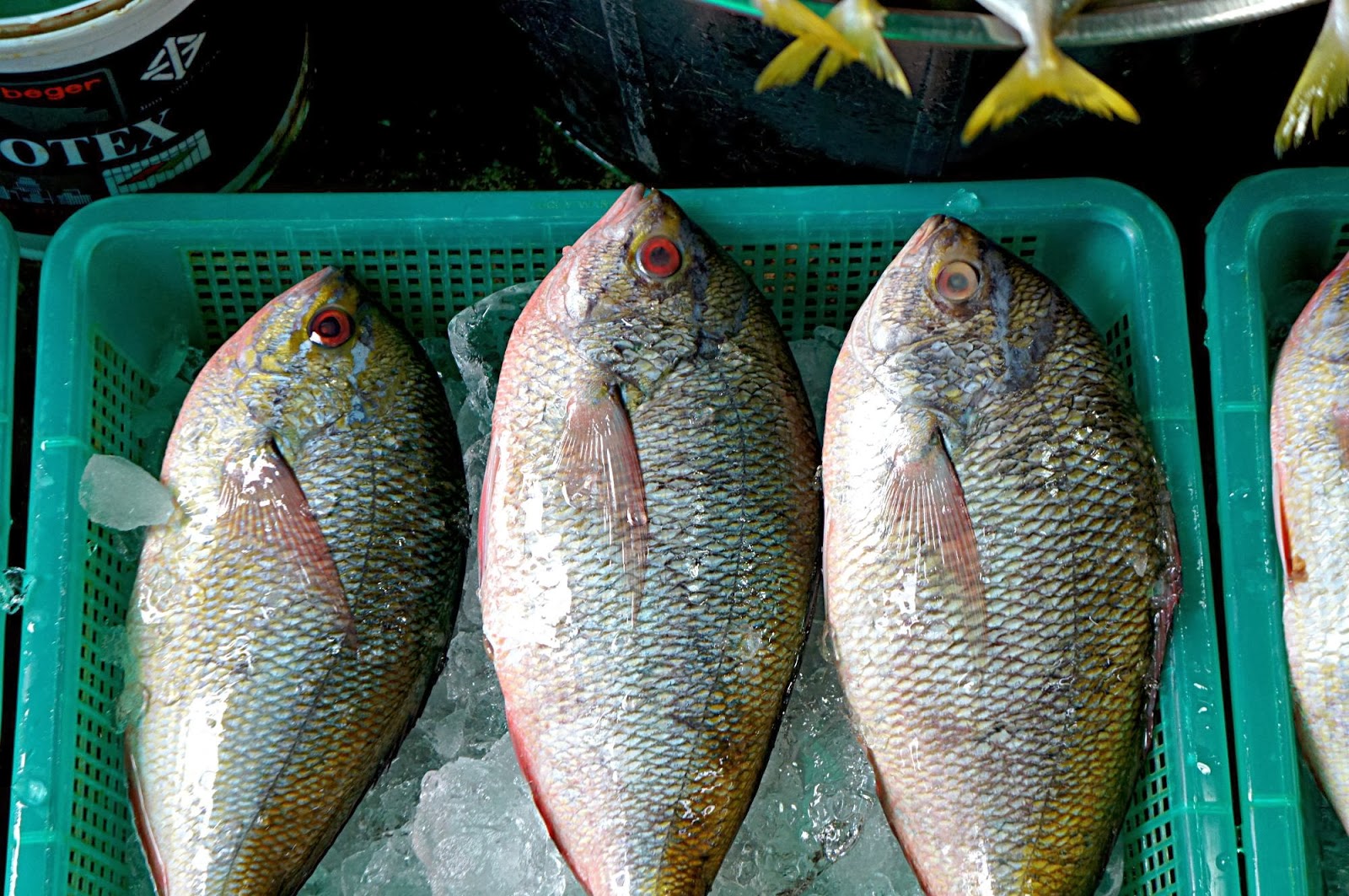 La Vita Organica: 25 Foods to Always Buy Organic