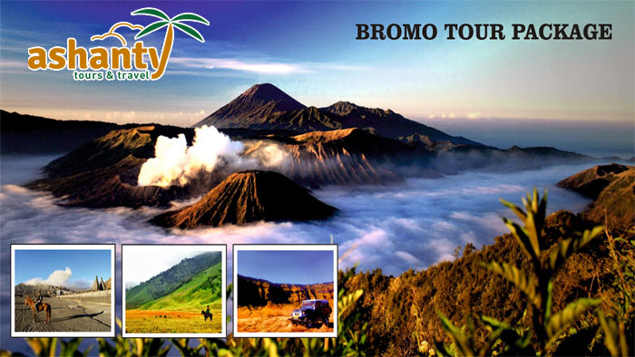 Paket Wisata Bromo | ASHANTY TOUR
