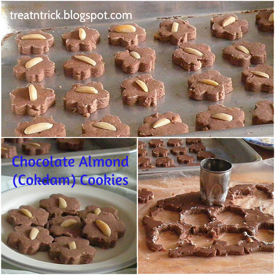 TREAT & TRICK: COOKIES