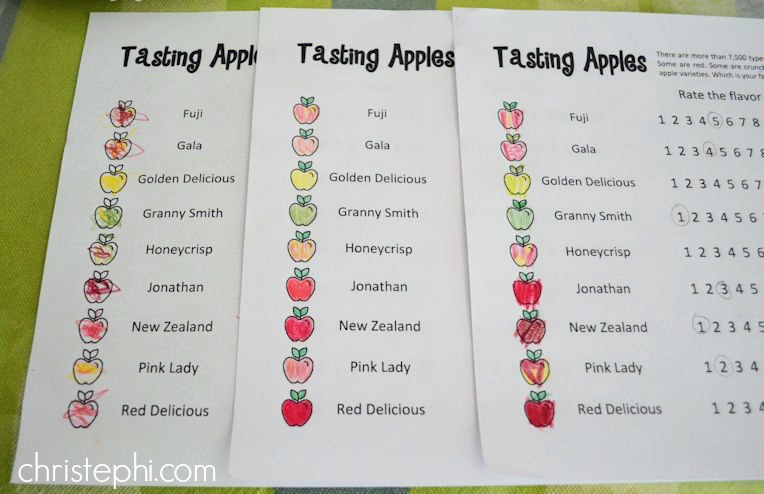 Data Collecting and Graphing with Apples