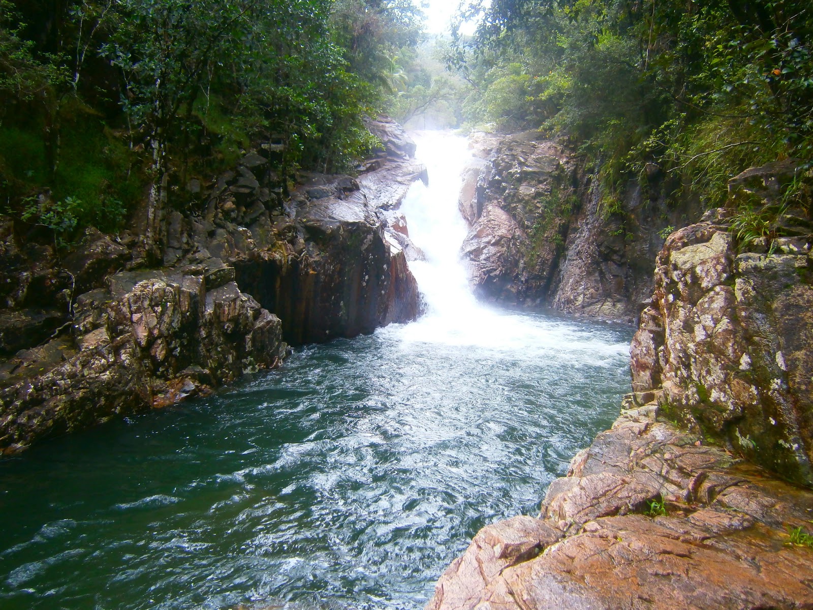 Traum Australien: Finch Hatton Gorge/Eungella