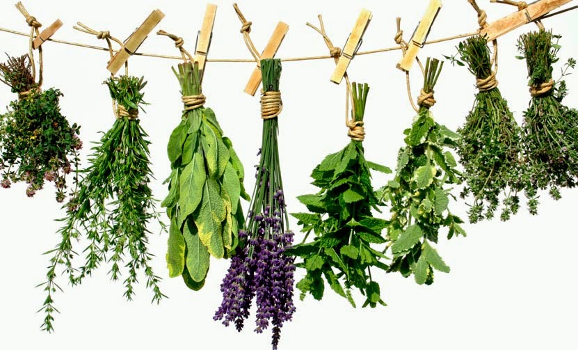 din bucataria suedeza si nu numai...: Lista condimente si istoria lor