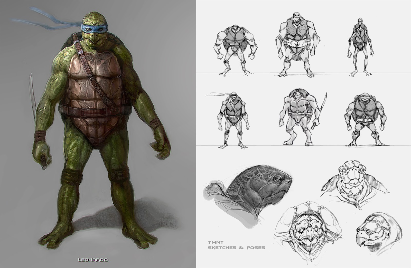 Turtle Concept Art