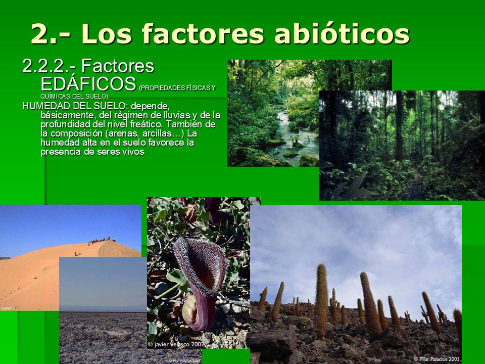 FACTORES ECOLOGICOS