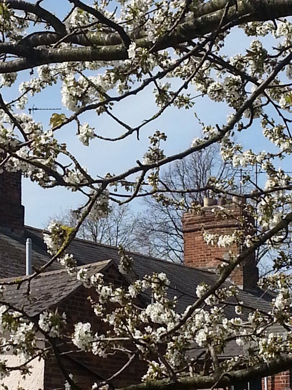 Liberal England: Spring in a Midland town