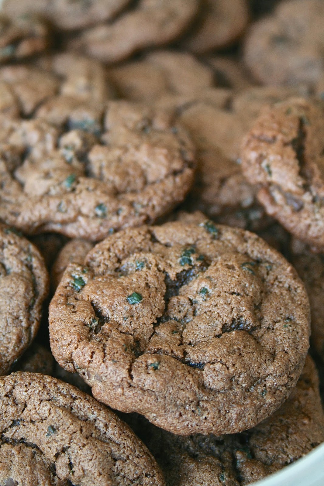 Oregon Transplant: Dark Chocolate and Fresh Mint Cookies