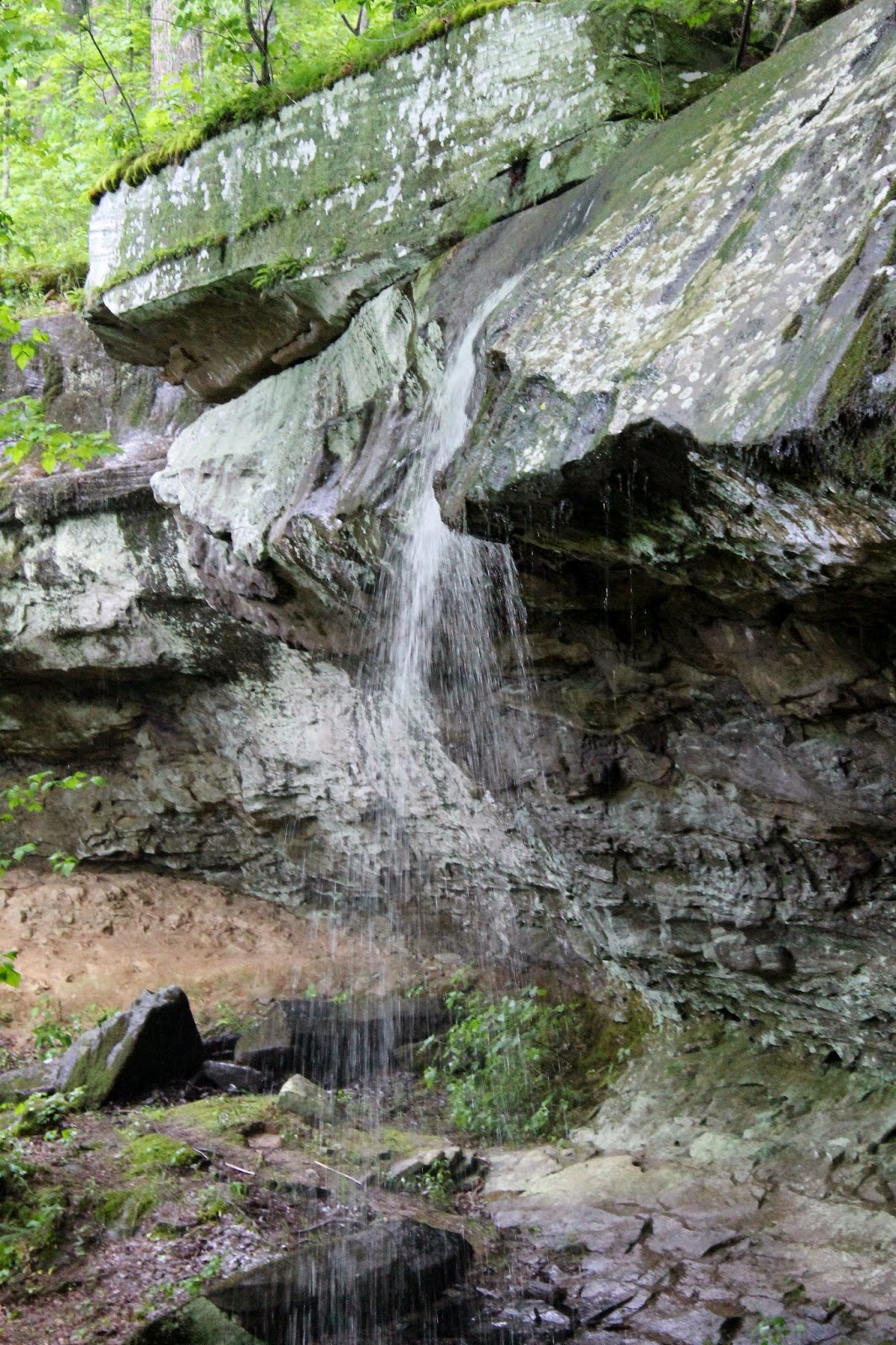 Experiencing Illinois: Rocky Bluff Trail