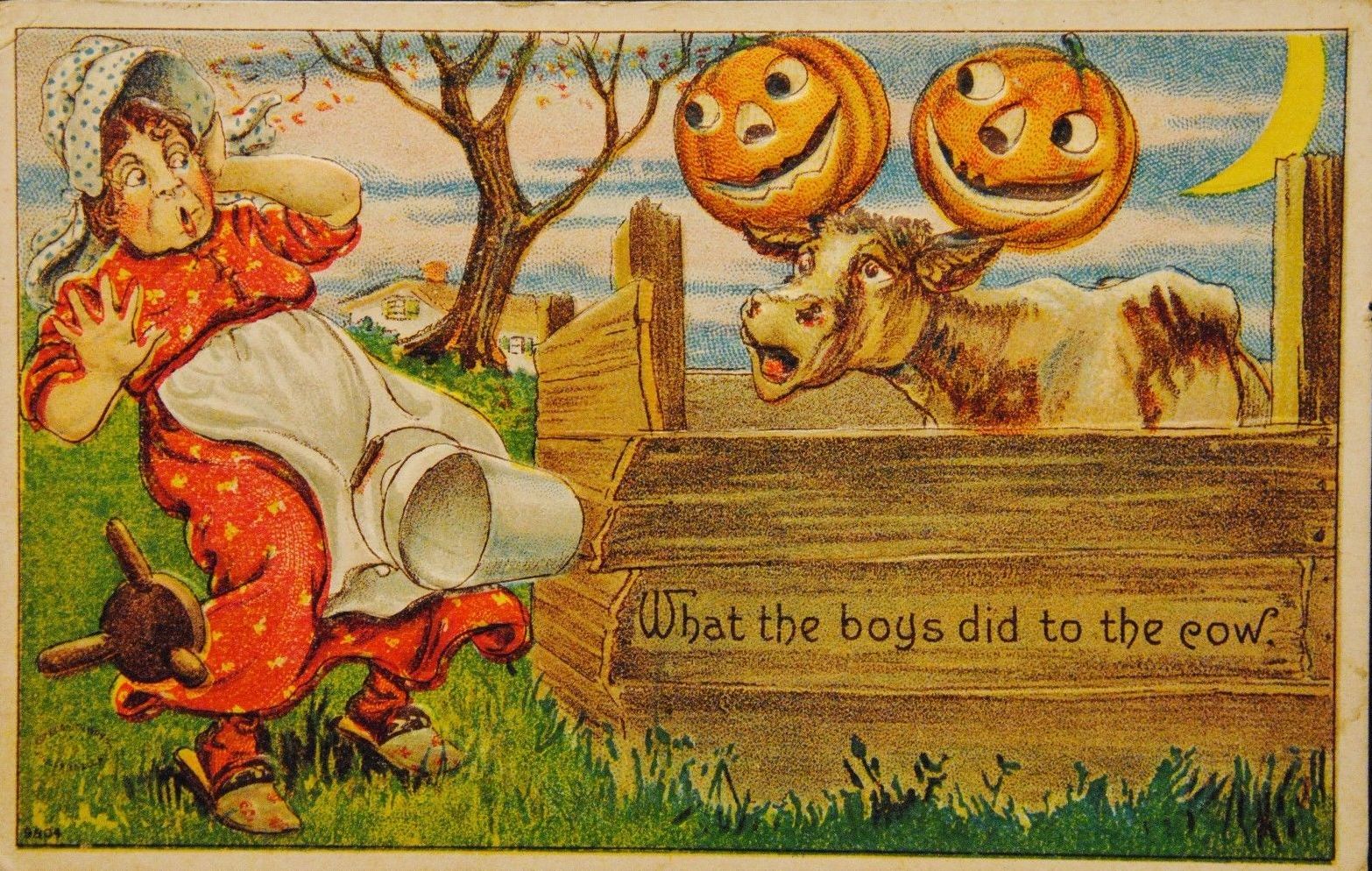 Ghost, Owl, Moon, Jack O'lantern, Pumpkin JOL: Here Are 30 Beautiful ...