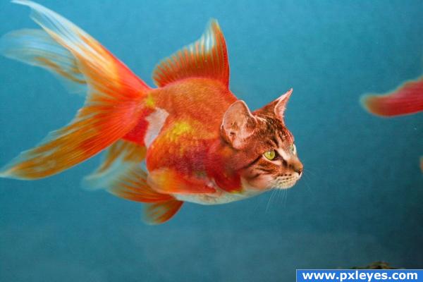 Intro to Media Studies: Visual Pun