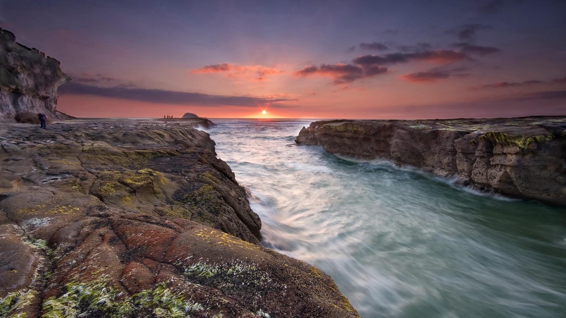 Muriwai Beach View