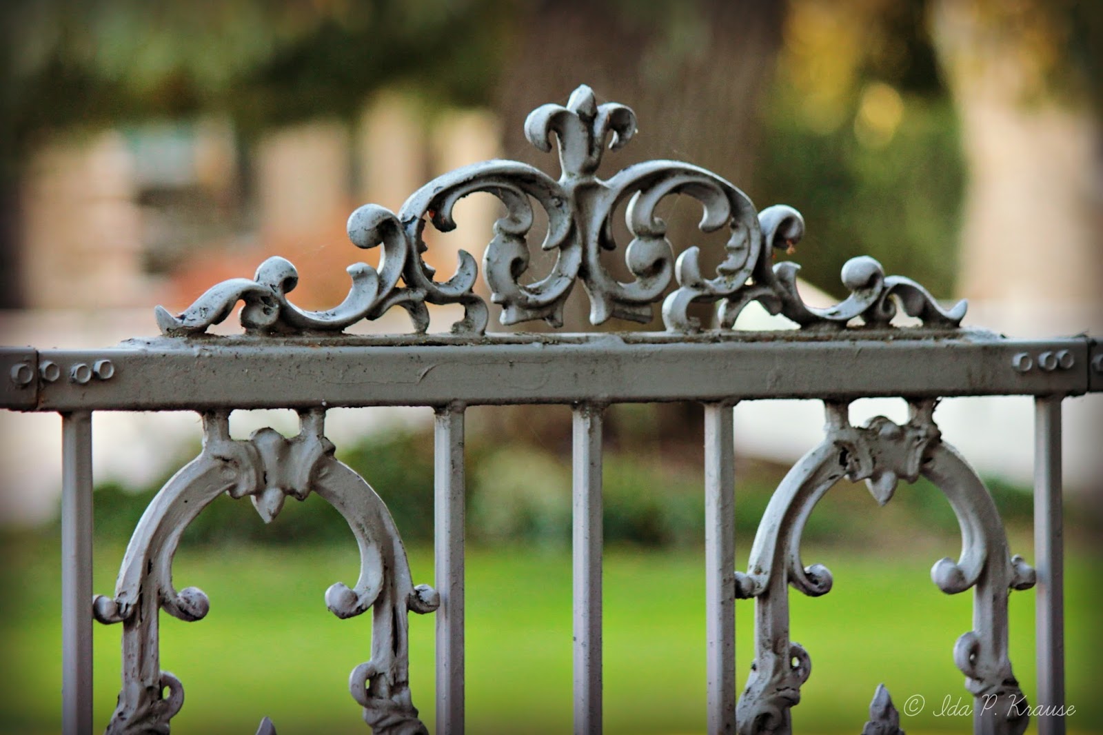 Wishes, Dreams & Other Things: Good Fences #102 - Fancy Iron Gate