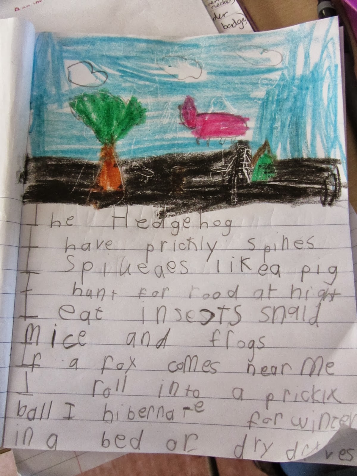 Literacy Site: Hedgehogs