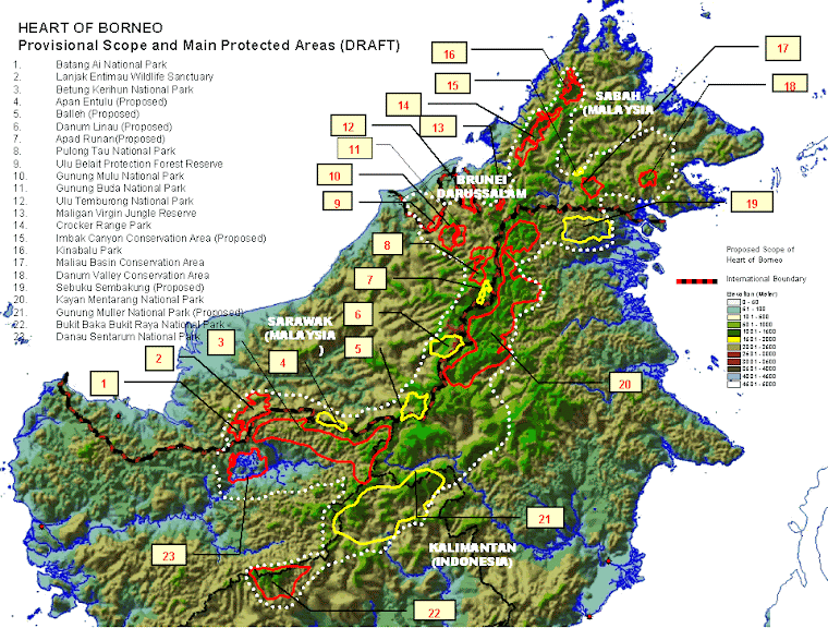 Dotcomlim's World of Flora from Rainforest Borneo