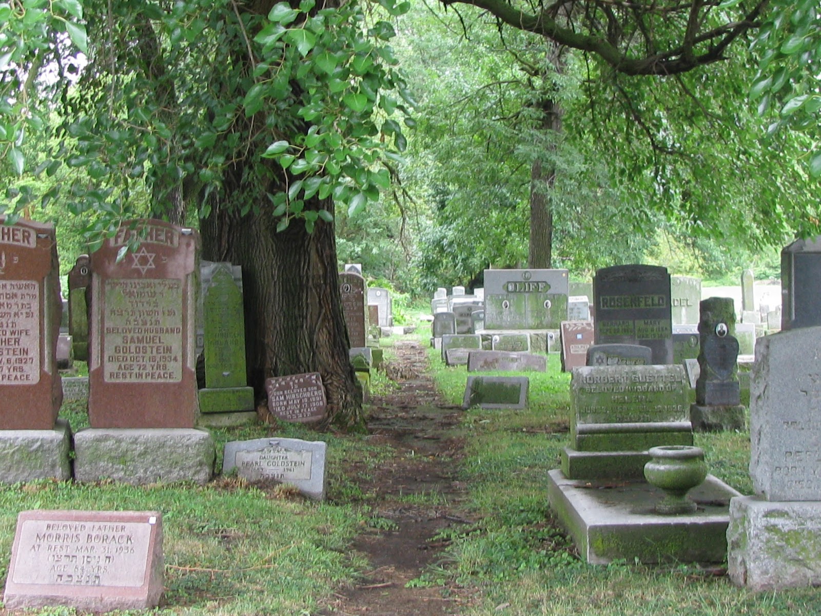 A Grave Interest: Cemeteries Worth the Visit - Waldheim Jewish Cemetery ...